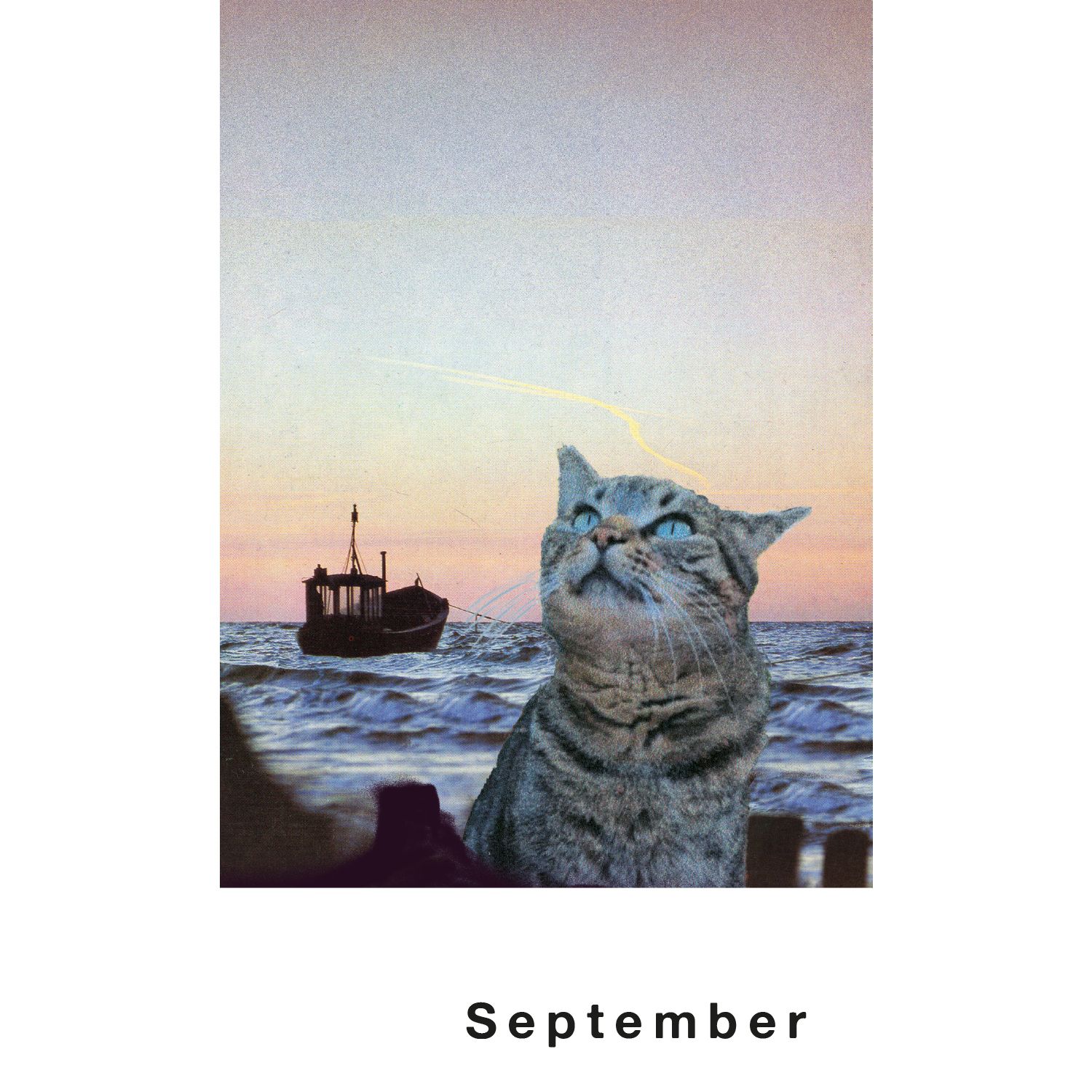 Streuner 3, Postkartenkalender | SF6022