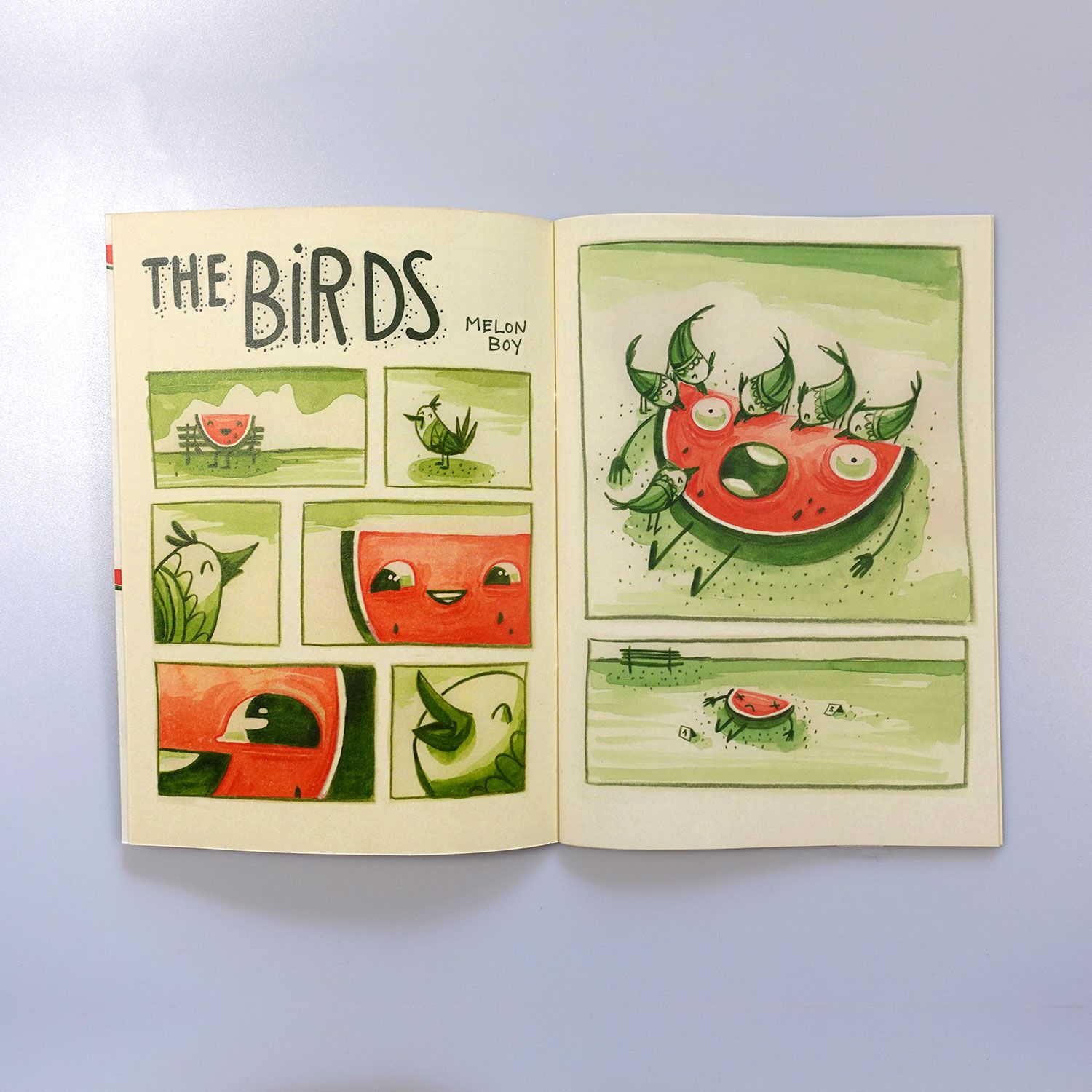 Paquete para fans de Melon Boy | SF8014