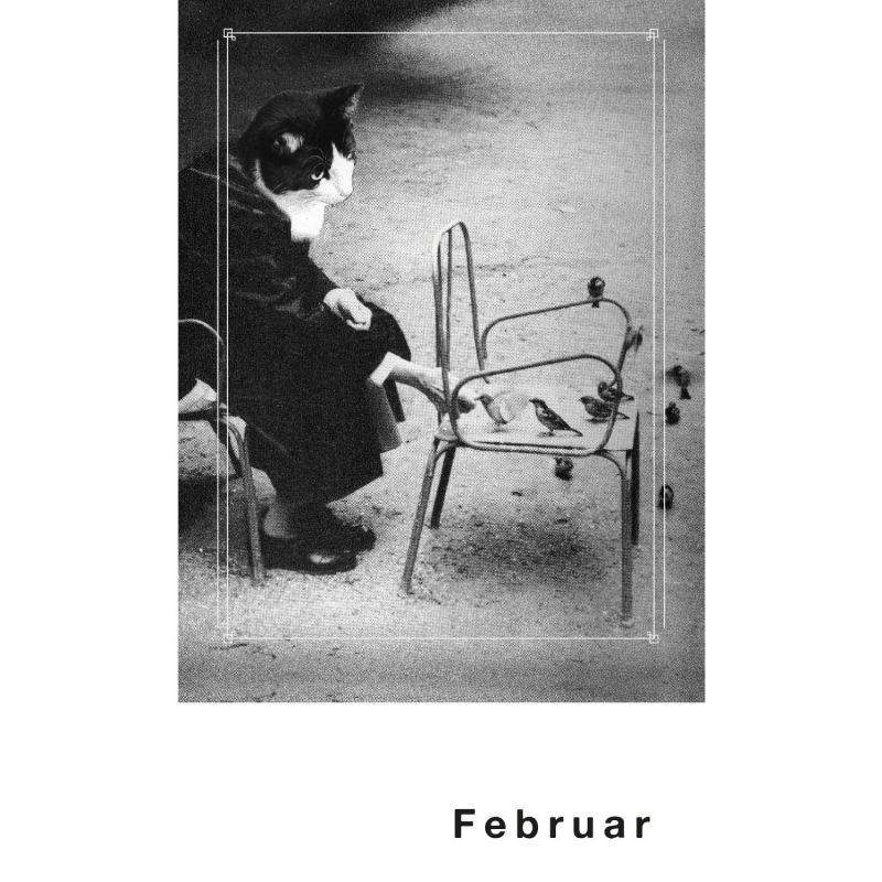 Streuner 5, Postkartenkalender | SF6051