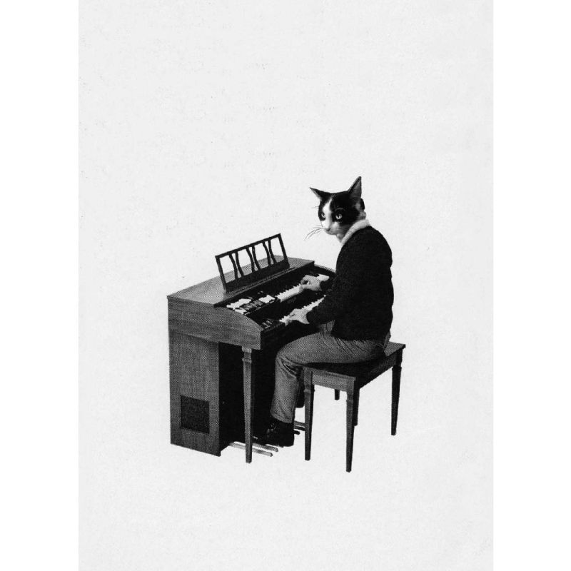 Streuner - Piano, Postkarte | SF3108